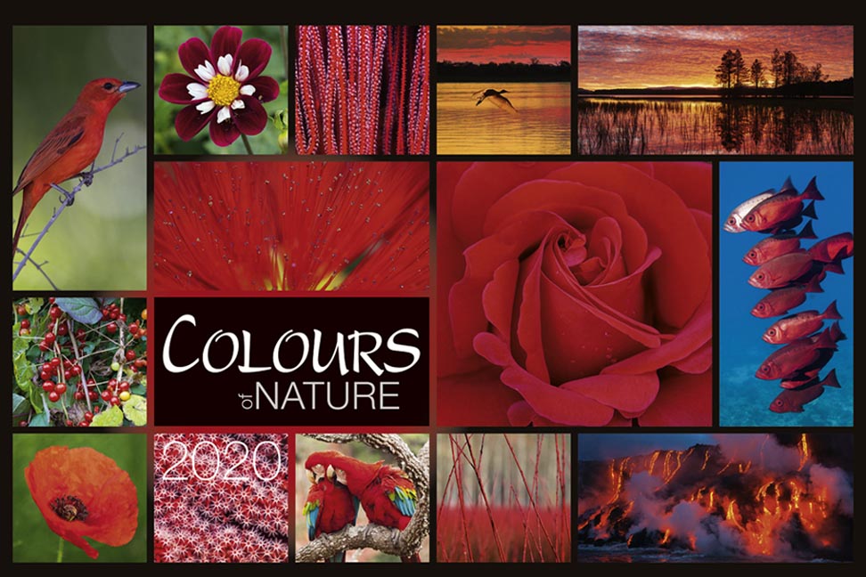 Athesia Werbekalender - Hochwertige Kalender vom Athesia Verlag