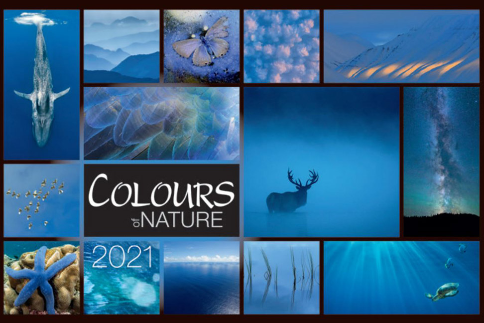 Athesia Werbekalender - Hochwertige Kalender vom Athesia Verlag